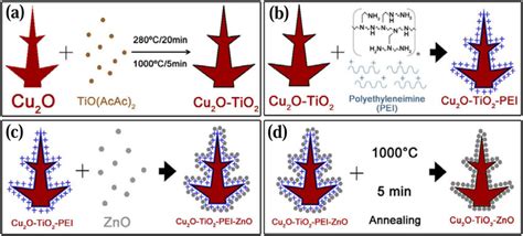Schematic Synthesis Of The Cu2otio2zno Ternary Composite Download