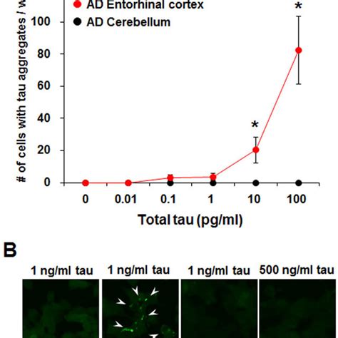 Sensitivity And Specificity Of The Fret Based Tau Seeding Assay In Vitro Download Scientific