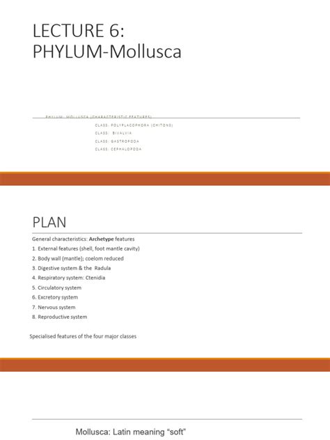 Lecture 6 Mollusca Pdf Mollusca Octopus