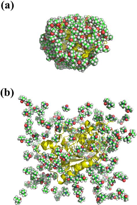 Distribution Of Tmao About Calb Enzyme Yellow Carton A In Hexane Download Scientific