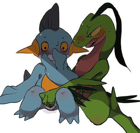 Post 6386901 Burnablegarbage Grovyle Marshtomp Porkyman