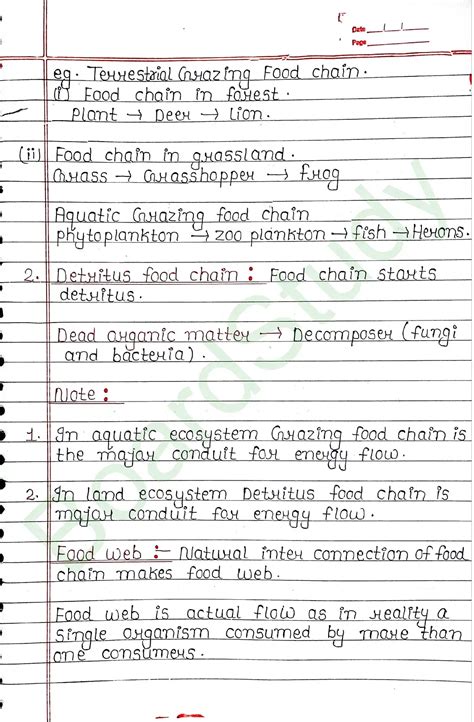 Ncert Class 12 Biology Ecosystem Notes Handwritten Notes And Pdf Download