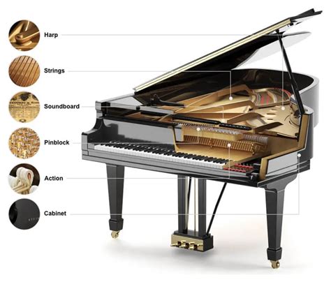 Understanding The Anatomy Of A Piano How It Works — Dark And Rich