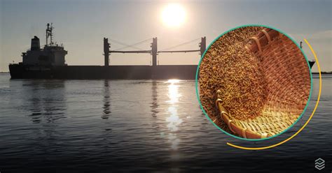 Експорт зерна скільки агропродукції відправила Україна Pro Гроші