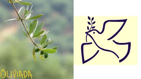 What Do Tree Branches Symbolize At Carlos Pratt Blog