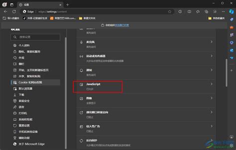 Edge浏览器如何设置允许某网站运行javascript？ Edge浏览器设置允许某网站运行javascript的方法 极光下载站