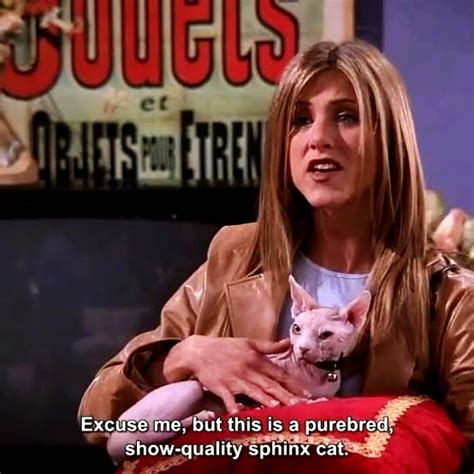 Mini Rachel Green Album On Imgur