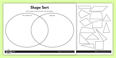 2d Shapes Sort Differentiated Activity