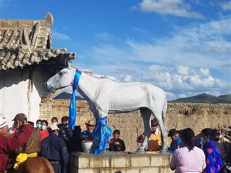 Tumniiekh апп Tumniiekh апп Tumniiekh Mn