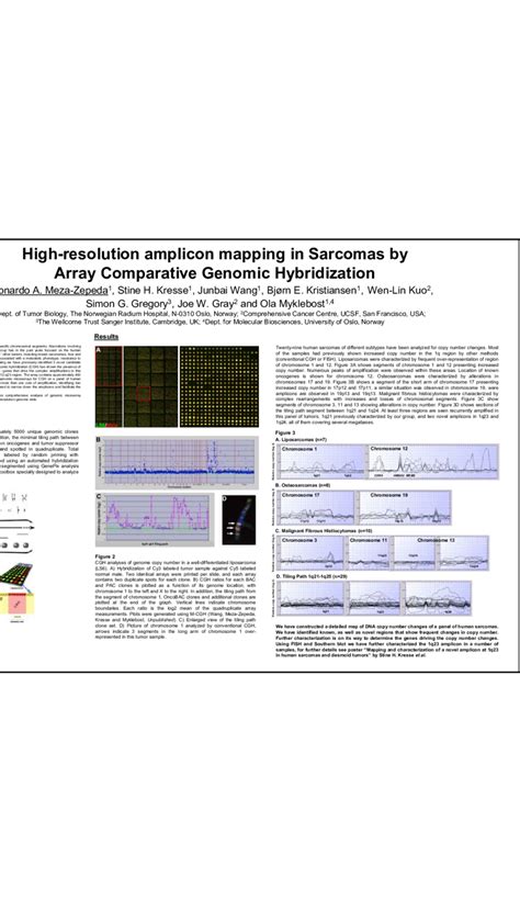 schematic representation of array comparative genomic hybridization