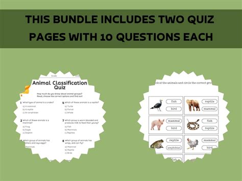 Science Worksheets For Kindergarten Science Worksheets For Primary And Secondary School