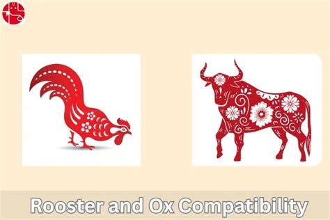 Rooster Zodiac Best Match