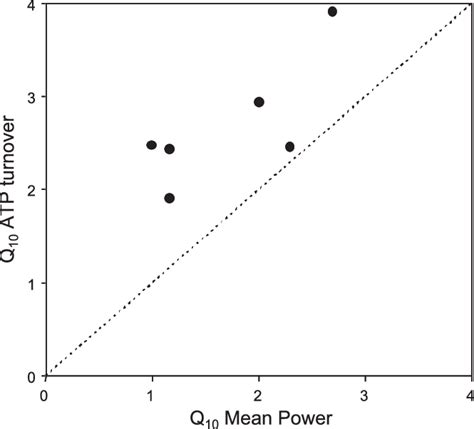 Relationship Between Temperature Coefficient Q10 Values For Atp