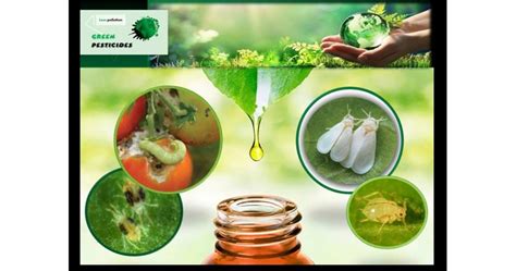 Лекции за зелени пестициди и подобряване на почвеното плодородие ще има на 5 октомври