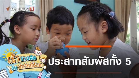 15 ภาพ ประสาท สัมผัส ทั้ง 5 02 2023 Phần Mềm Portable