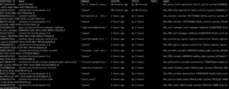 Purpose Of Pause Containers Rrancher