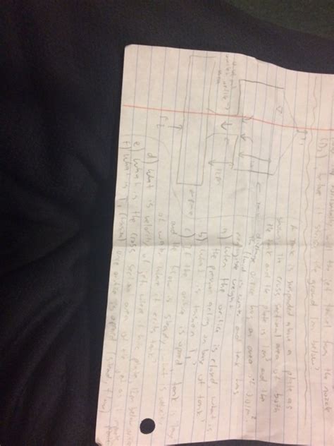 Bernoulli Chegg