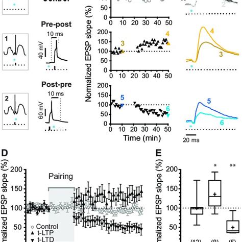 Synapse Specific Stdp Induced Using Light Stimulation During Down
