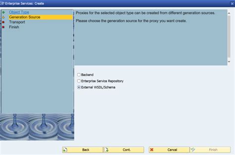Sap Interfacing Consuming Web Services