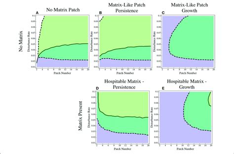The Effect Of A Matrix Like Patch In A There Is Only Direct
