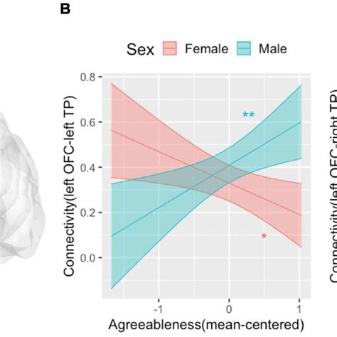 Connectivity Pattern Associated With The Interaction Term Of