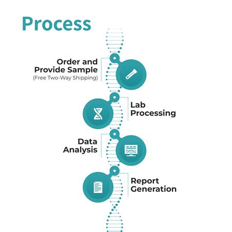 Unlocking The Gut Microbiome Essential For Health And Well Being Mapmygenome