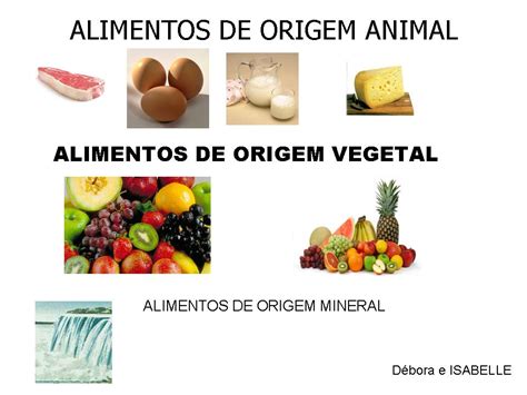 Origem Dos Alimentos Mineral Revoeduca