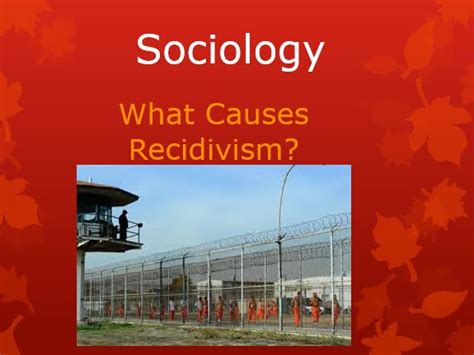 What Causes Recidivism Power Point Presentation Example