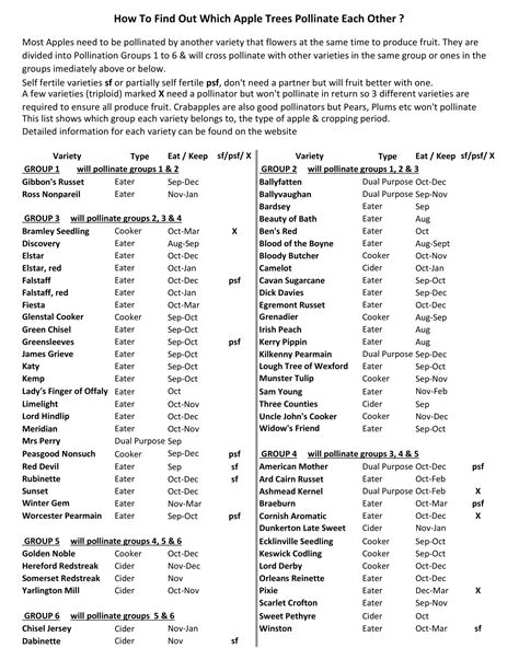 Apple Pollination Chart Old Future Forests