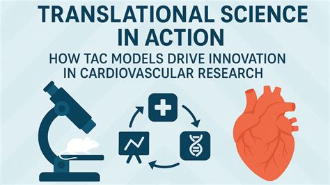 Transverse Aortic Constriction In Translational Science A Gateway To
