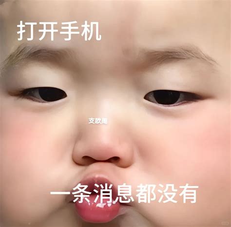拜托，谁能拒绝这么可爱的表情包呢