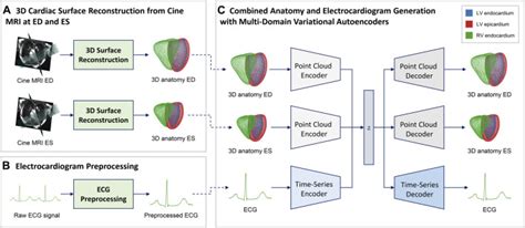 multi domain variational autoencoders for combined modeling of mri