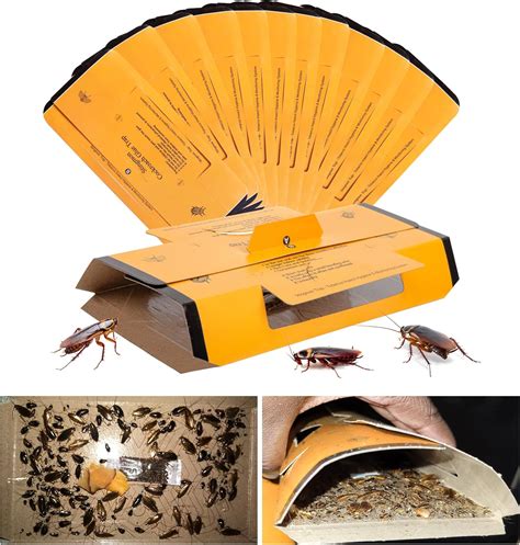 18 Pack Roach Traps Indoor Roach Killer Indoor Infestation Cockroach Home Cockroach Trap Sticky