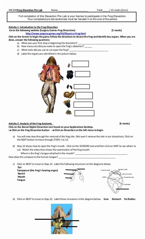 50 Frog Dissection Worksheet Answer Key Chessmuseum Template Library