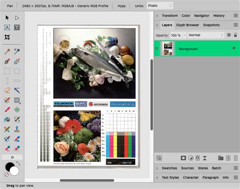 Acquire From Brother Scanner Distorts But Works As Expected With Pixelmator Pro V2 Bugs