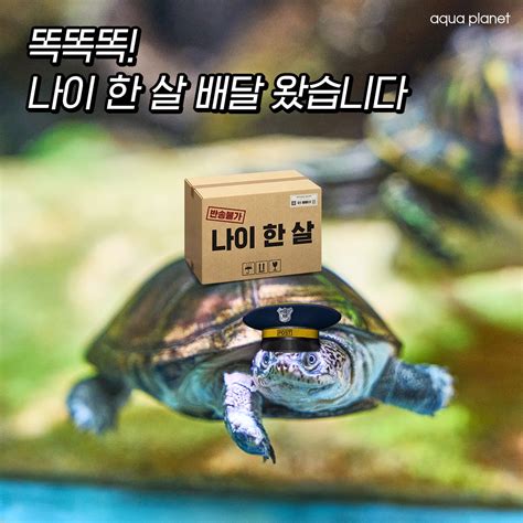 아쿠아플라넷 똑똑똑🚪 나이 한 살 배달 왔습니다📦 🐢 장수의 상징인 수생 거북이가 배달해 주는 반송 불가 나이 한 살 받고 2025년의 새해를 힘차게 시작하시길