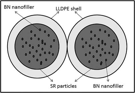 Joint Shell Model Shows The Adsorption Of Lldpe Molecular Chains Or
