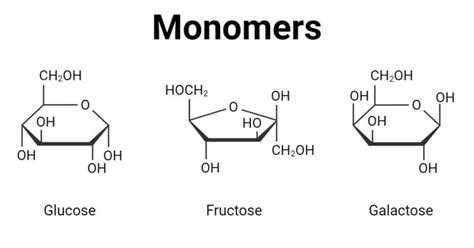 Monomers Types Examples Classification Uses