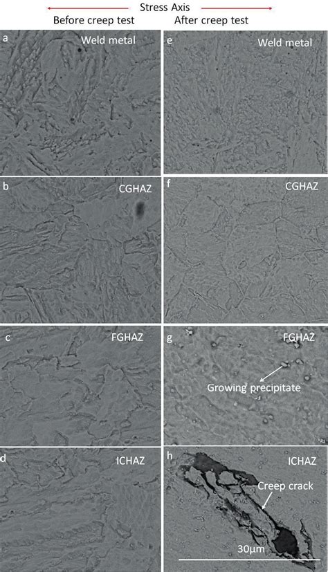 Sem Bse Micrographs Showing The Microstructures At Different Locations