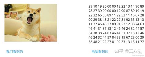 深度学习处理图像基础知识 深度学习一般图像大小表示 CSDN博客