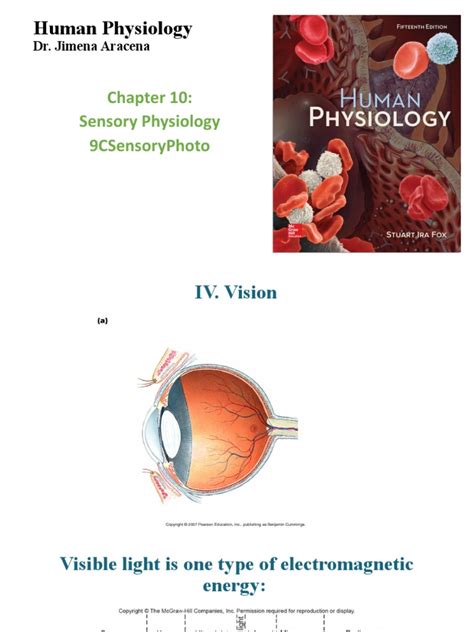 9 Csensory Photo Pdf Retina Eye
