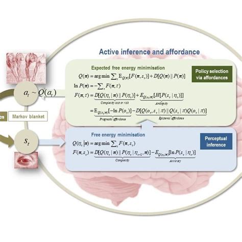 Karl Friston University College London London Ucl Institute Of Neurology Research Profile