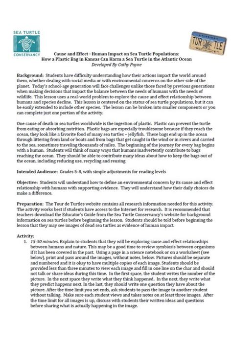 introduction to sea turtles sea turtle conservancy