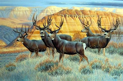 Mule Deer Animals In Art Pinterest Mule Deer Wildlife Art And