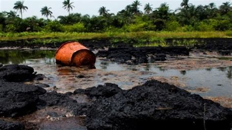 The Ogoni Massacre A Tale Of An Unsuccessful Quest For Fairness
