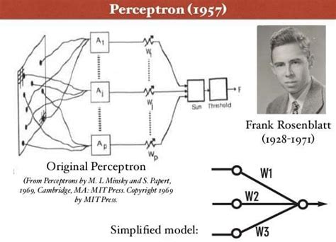 What Is Perceptron A Beginners Guide For Perceptron