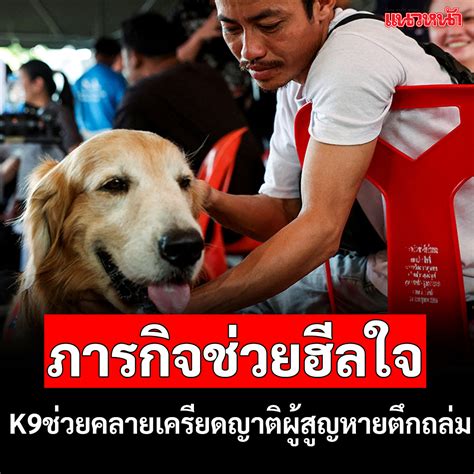 Naewnanews แนวหน้าออนไลน์ ภารกิจฮีลใจ ส่งฮีโร่4ขาสุนัขk 9ใช้ความน่ารัก ช่วยเยียวยาจิตใจ