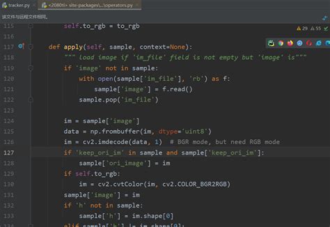 Deepsort中的视频读取转换出错 · Issue 3269 · Paddlepaddlepaddledetection · Github