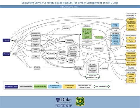 Timber Management The Nicholas Institute For Energy Environment