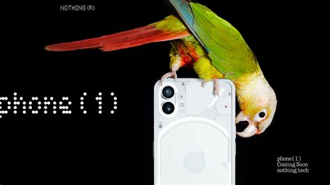Nothing Phone (1) Hands-On: Video zeigt einzigartiges Smartphone im Detail